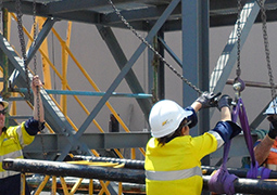Combined dogging & basic rigging Bunbury | NARA Training